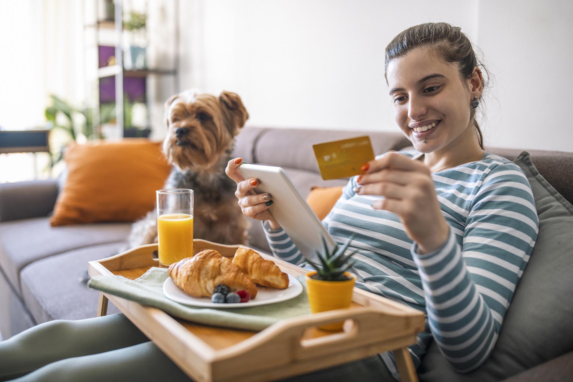 Client Payment Options | Boulder Veterinary Hospital