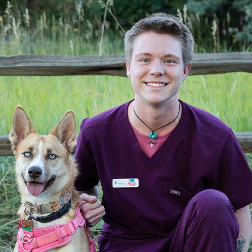 Our Staff | Boulder Veterinary Hospital